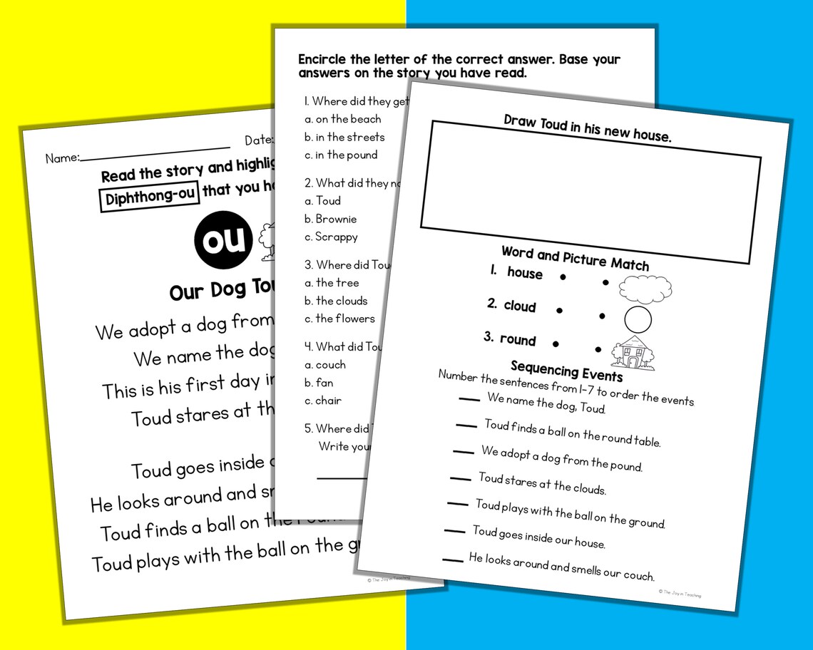 Diphthong Reading Comprehension Passage - Etsy