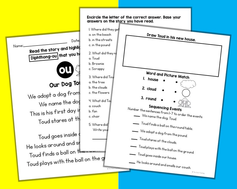 Diphthong Reading Comprehension Passage - Etsy