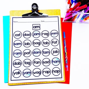 CVC Word Hunt - Etsy