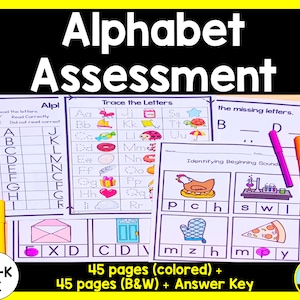 Alphabet Assessment Worksheet - Etsy