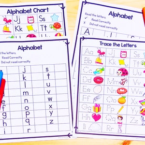 Alphabet Assessment Worksheet - Etsy