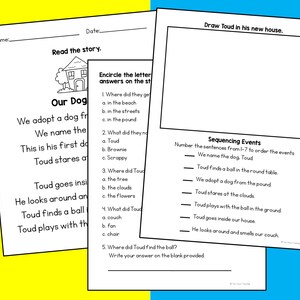 Second Grade Reading Comprehension Passages - Etsy