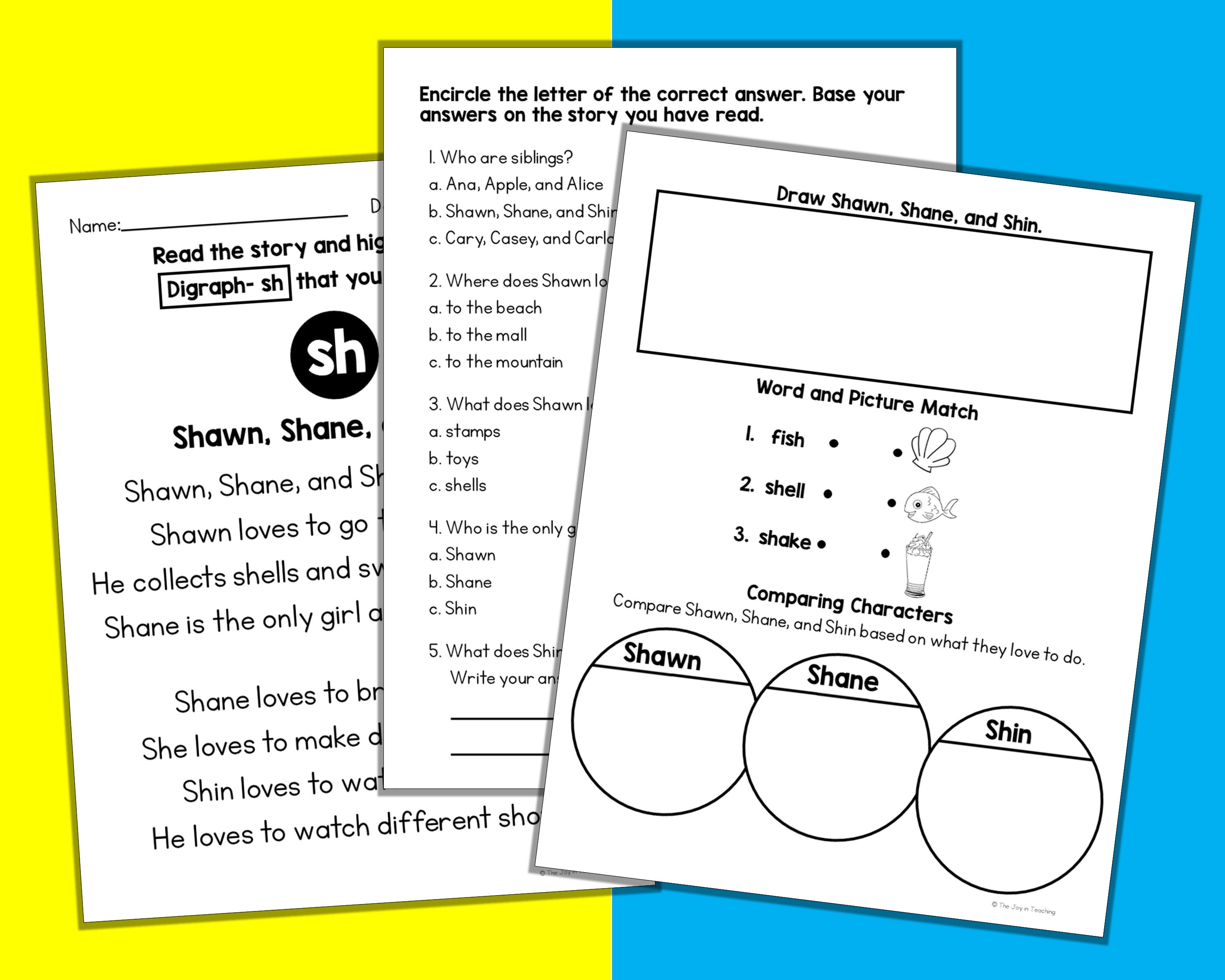 Digraph Reading Comprehension Passage - Etsy