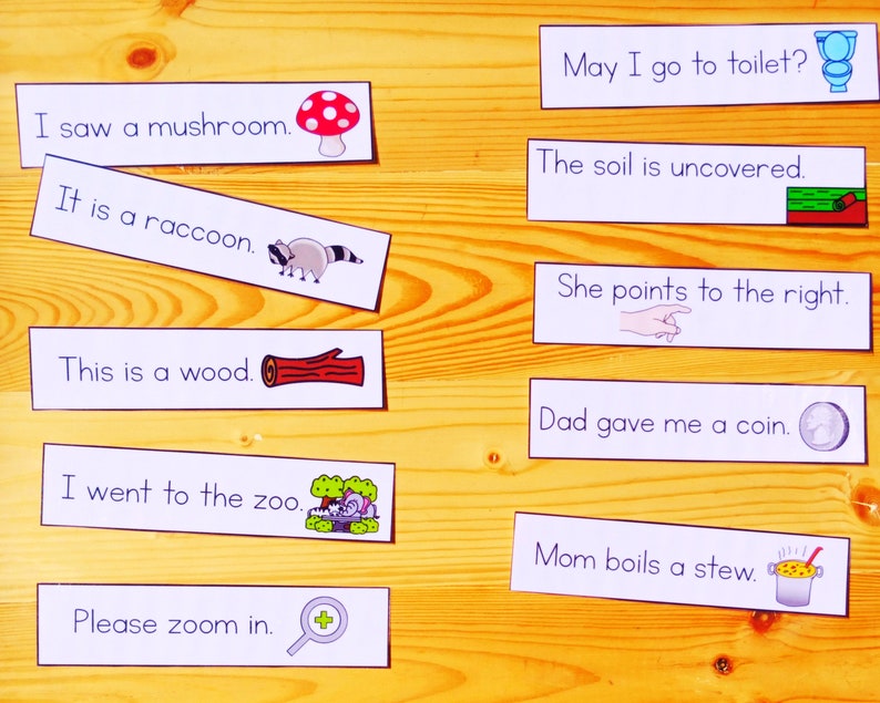 Diphthong Sentence Flashcards - Etsy