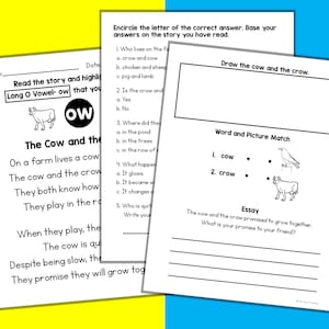 Long Vowel O Reading Comprehension Passage - Etsy
