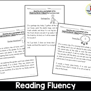 Beginning Blends Reading Comprehension Passage | Etsy
