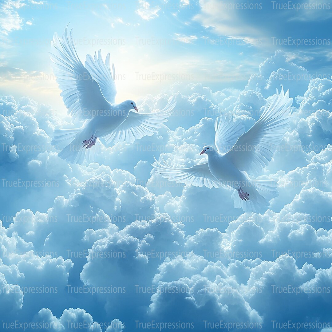 Memorial Dove PNG: Christian Funeral Art, Blue Sky (digital Download ...