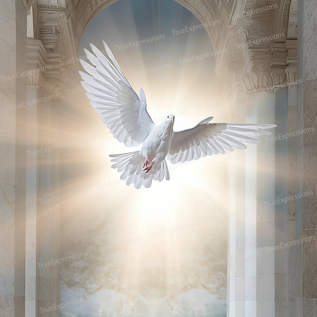 Memorial Dove Spread, AI Art, Christian, Funeral, Arch, Dove, Beige ...