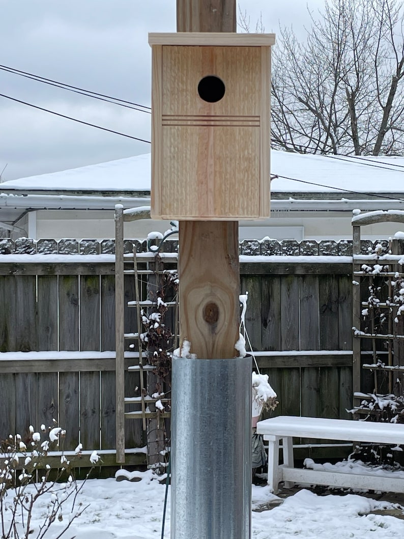 Bluebird House/nesting Box, Tree Swallows, Titmice - Etsy