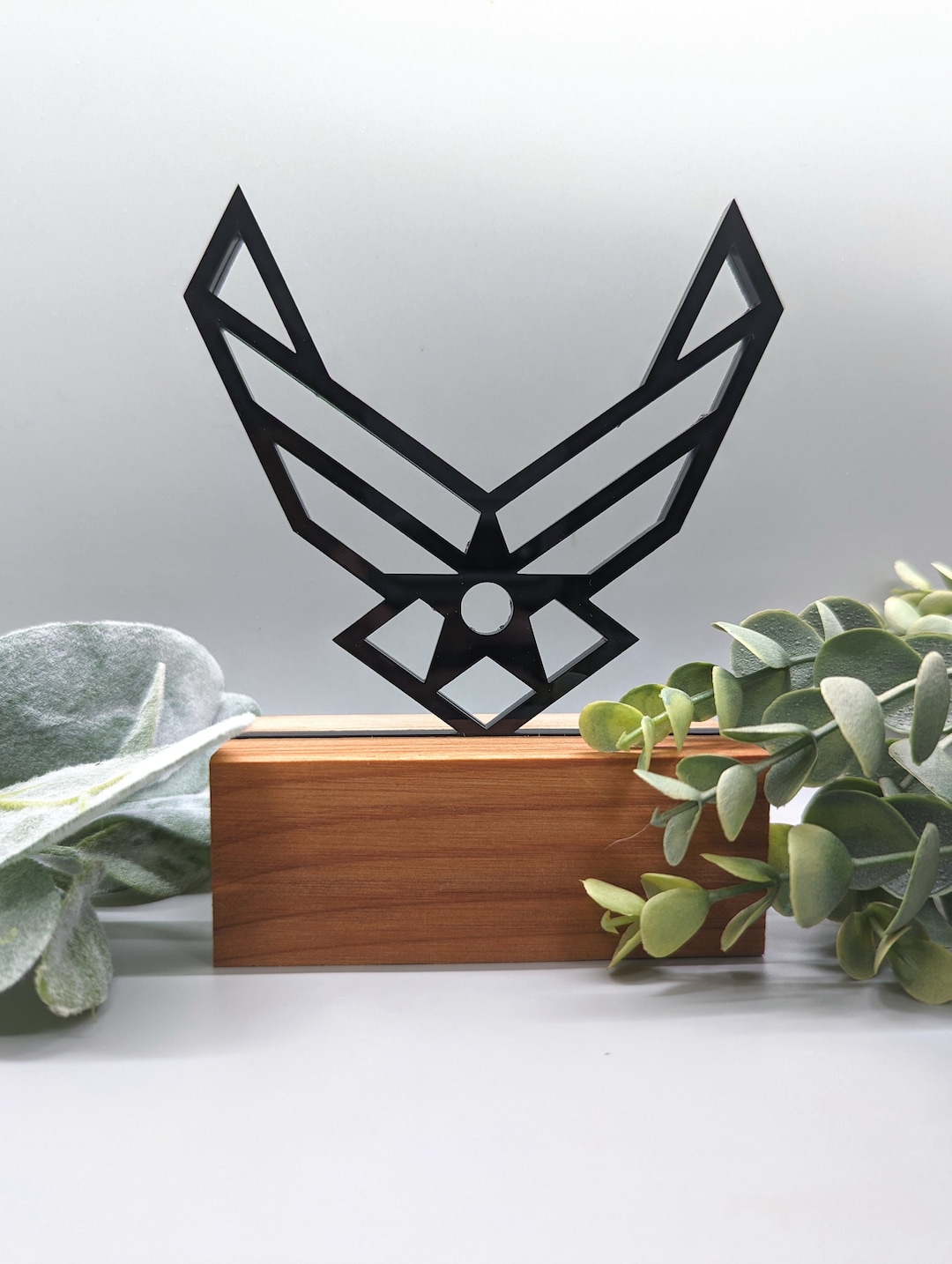 Air Force Wings Gift & Stand-up Desk Award | Personalized Name, Line ...