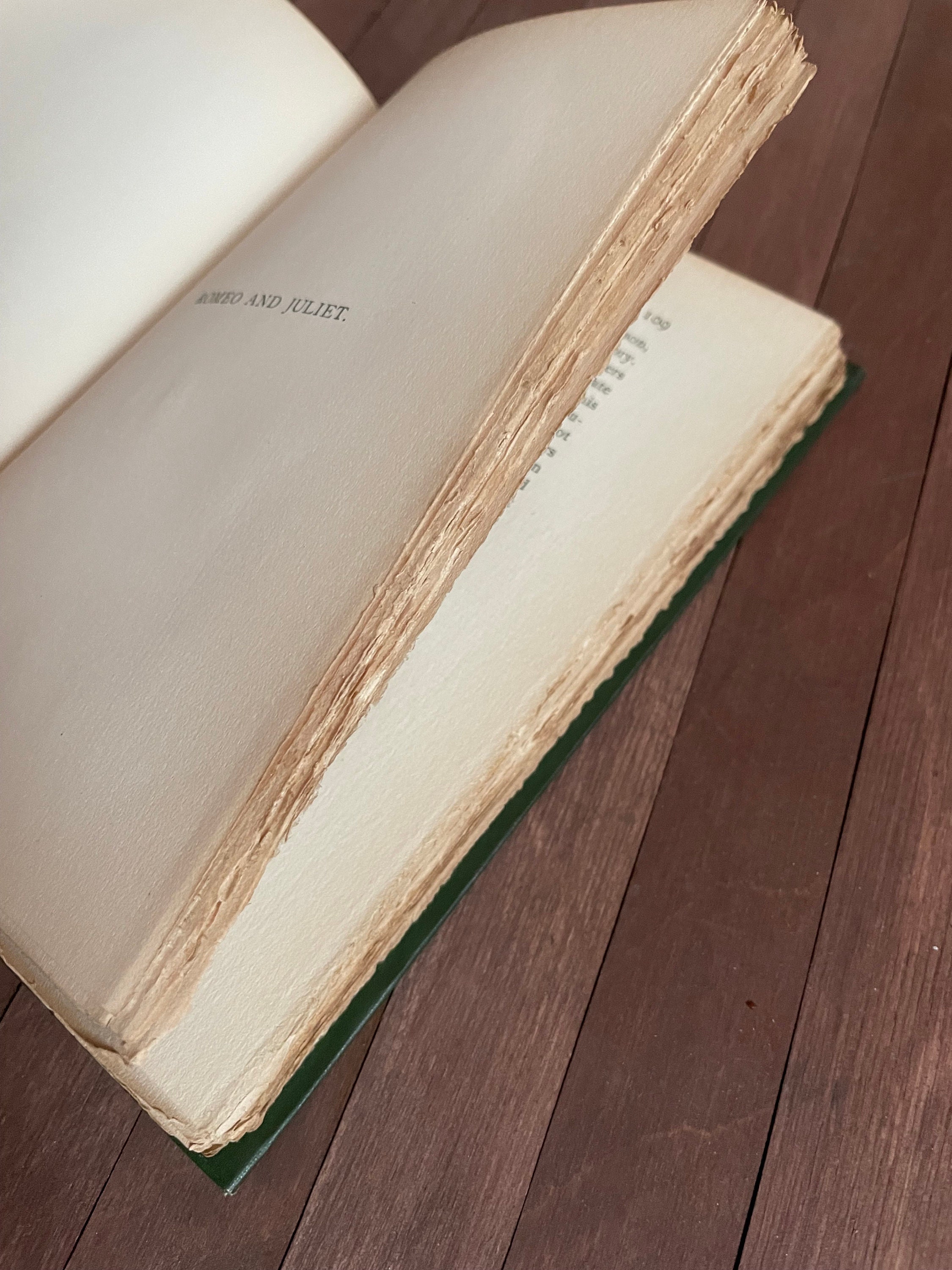 1894 First Edition Old Pictures of Life David Swing - Etsy