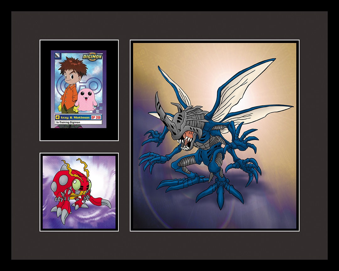 Digimon Lithograph Izzy-motimon With Set of NEW Trading Cards - Etsy
