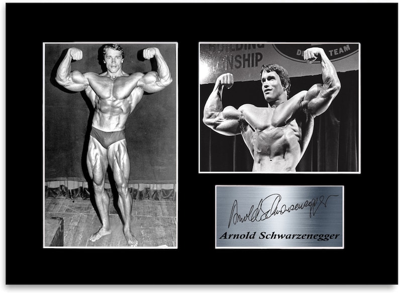 Arnold Schwarzenegger Bodybuilder Motivational Poster Signed Photo ...
