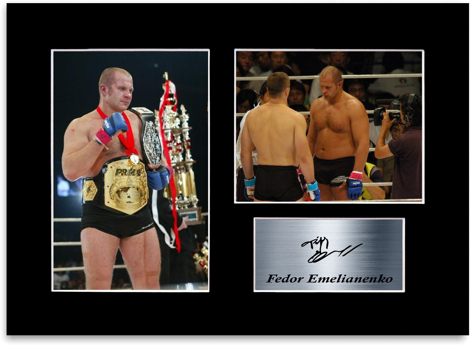 Fedor Emelianenko Pride