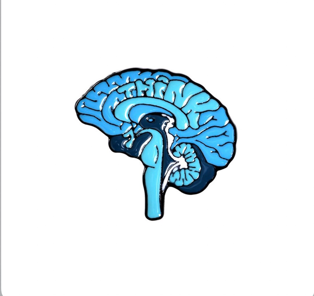 Anatomical Brain Enamel Pin / Brains Pin / Hard Enamel Pin / Lapel Pin ...