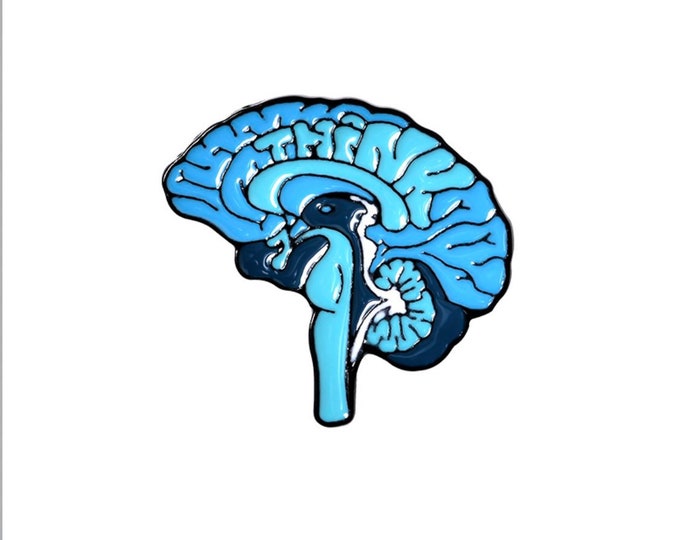 Anatomical Brain Enamel Pin / Brains Pin / Hard Enamel Pin / - Etsy