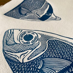 Cod & Angel Fish Lino Print | Hand Printed | Nature Themed | Wall Art ...