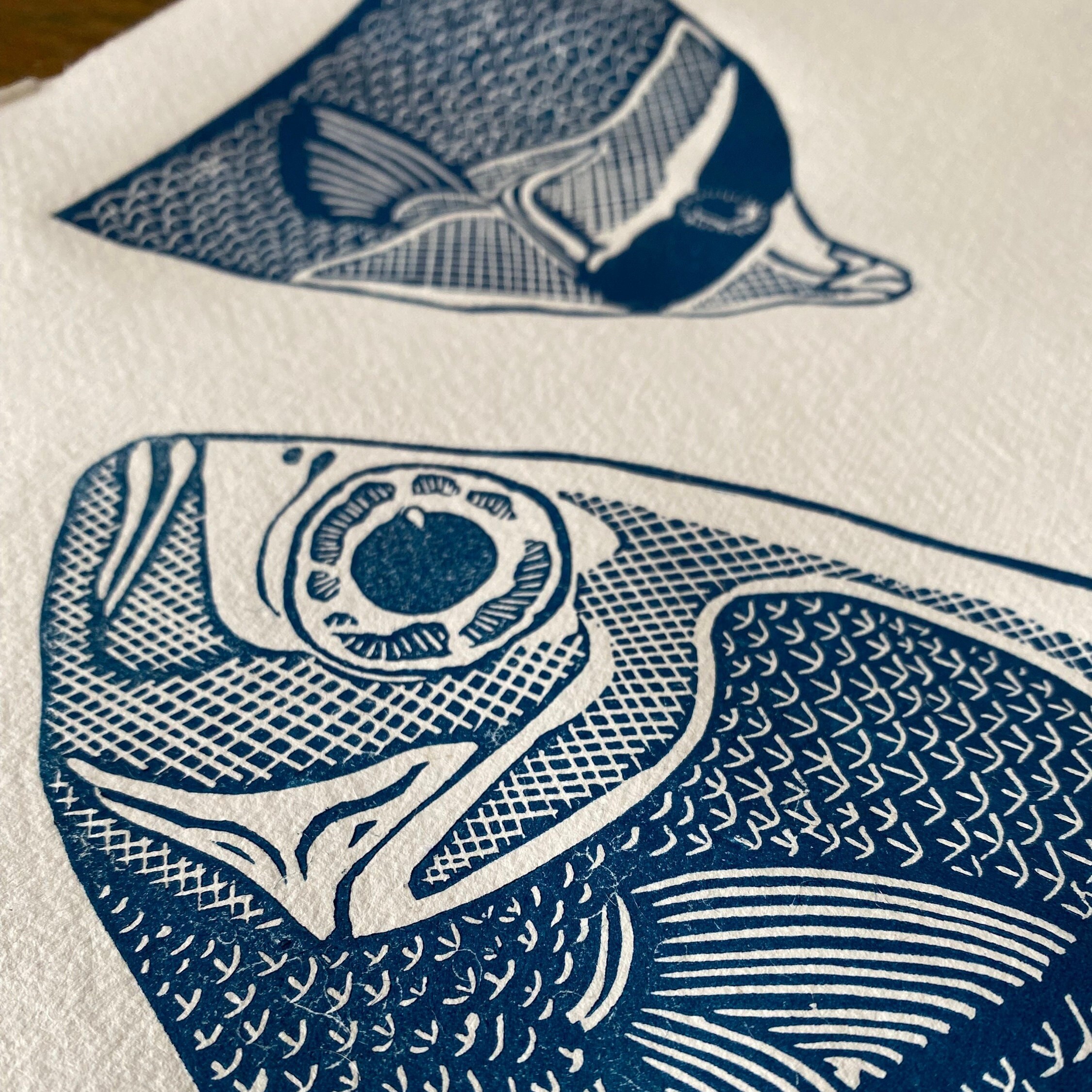 Cod & Angel Fish Lino Print Hand Printed Nature Themed Wall Art Home ...