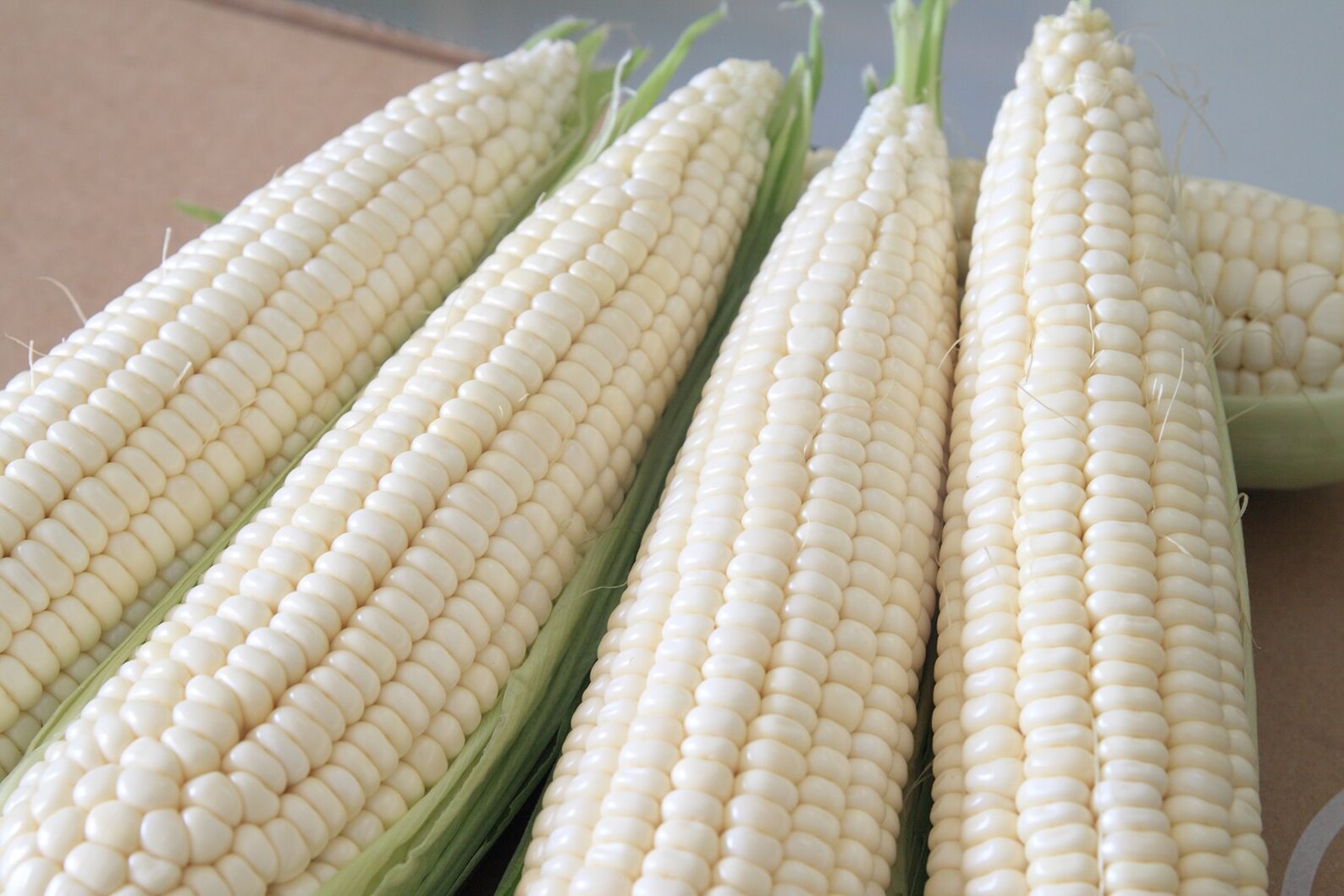 30 Waxy Conrn Seeds ( Treated Seeds)_sticky Corn- Vietnamese Bap Nep Nu ...