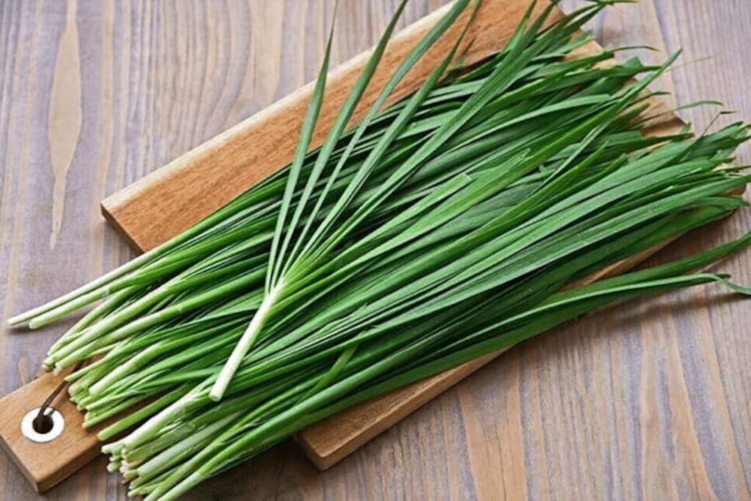 2g 500 NIRA Broad Leaved GARLIC CHIVE -vietnamese Hė -allium Tuberosum ...