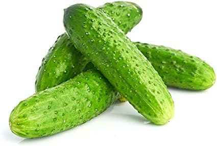 50 Seeds- Wisconsin SRM-58 Cucumber Seeds- Heirloom-non GMO Seeds - Etsy