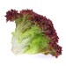 2g 2000 Dark Red Lollo Rossa Organic Lettuce Seed - Etsy