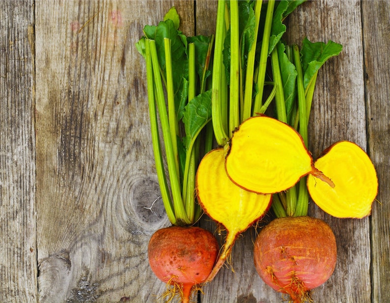4gr - 500+ Seeds- Golden Detroit Beet Seeds- Heirloom-non GMO Seeds - Etsy