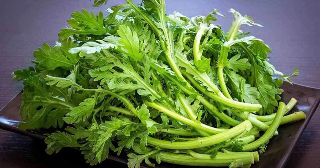 3.5 G Tong Ho/hao Seeds-crown Daisy Garland Chrysanthemum-shungiku ...