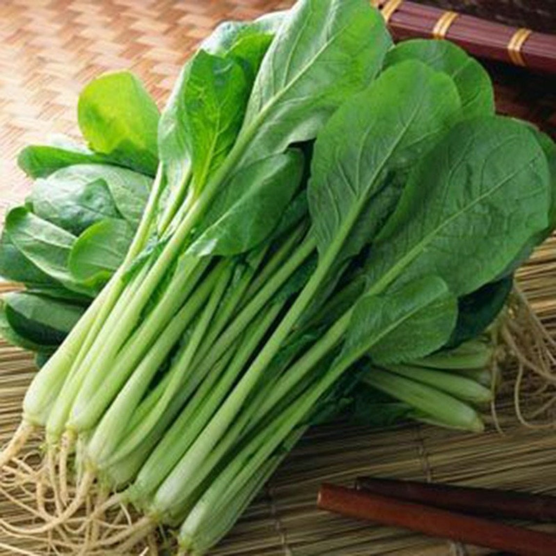 2g 1000 Seeds Vietnamese Choy Sum Cãi Ngo.t Choy Sum - Etsy
