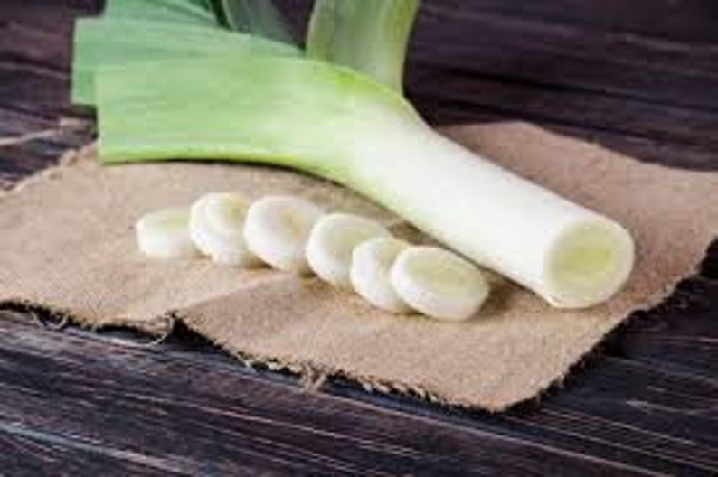 2g - 500 Seeds- American Flag Leek Seeds- Tõi Tây - Allium Porrum ...