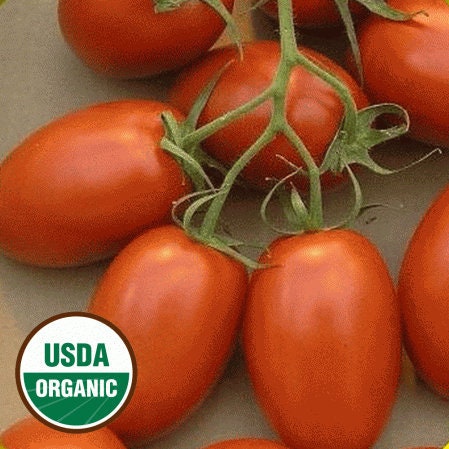 100 Organic ROMA TOMATO Seeds - Etsy