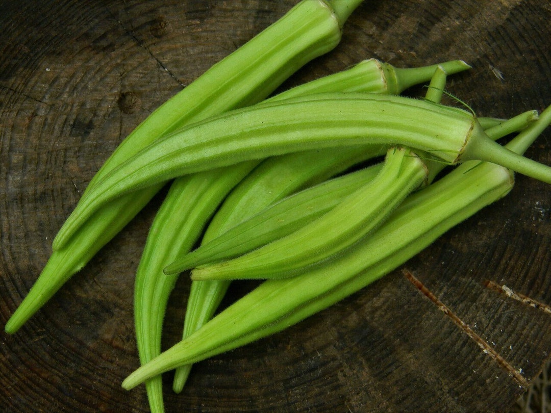 30 Seeds - LONG OKRA -cows Horn - Large Size Okra - Đâ.u Bă'p Tra'i Dài ...
