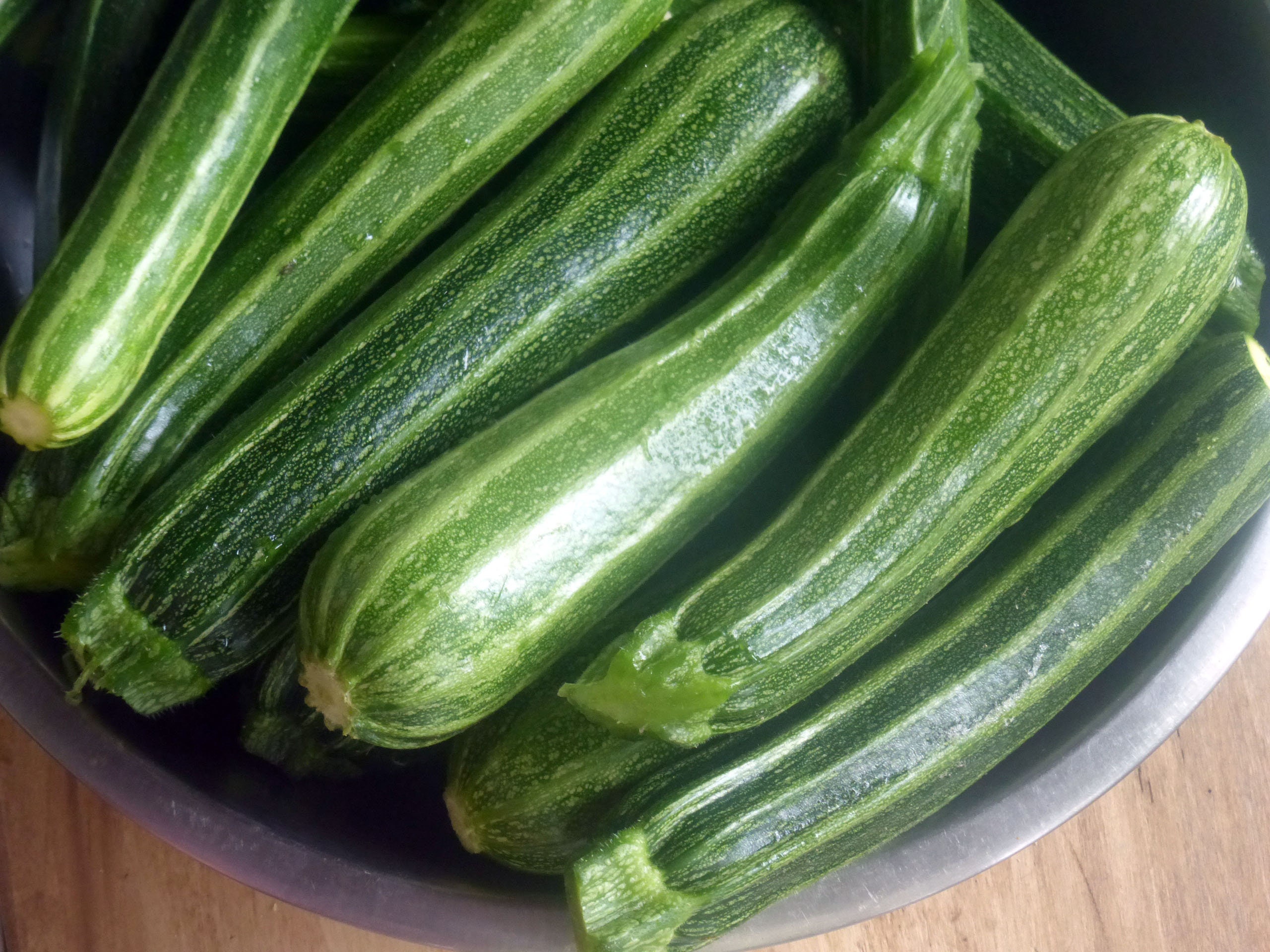 20 COCOZELLE Summer Squash - Heirloom Seeds - Etsy