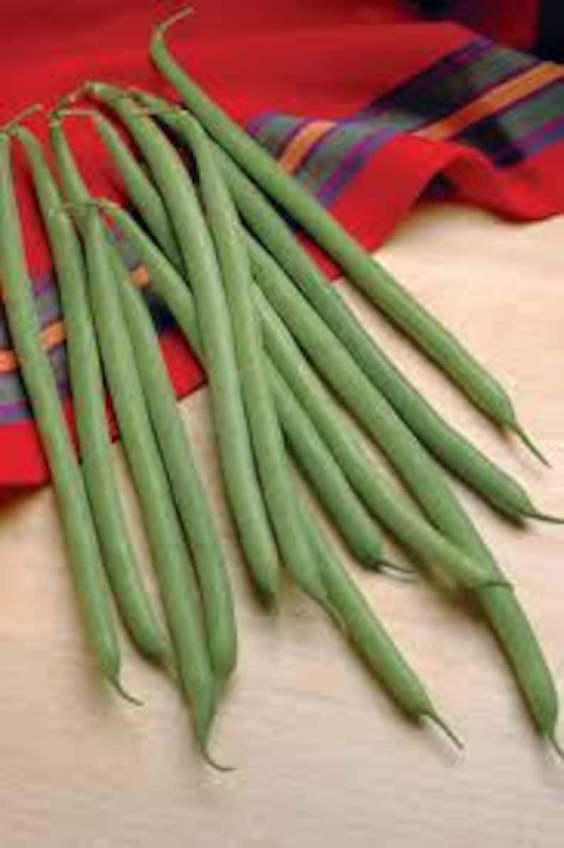 40seeds- Jade Bush Beans Seed- - Etsy
