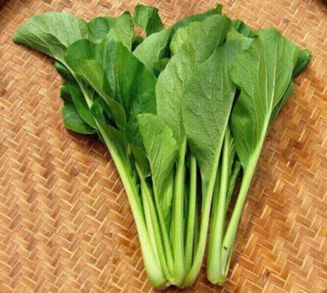 2g 1000 Seeds Vietnamese Choy Sum Cãi Ngo.t Choy Sum - Etsy