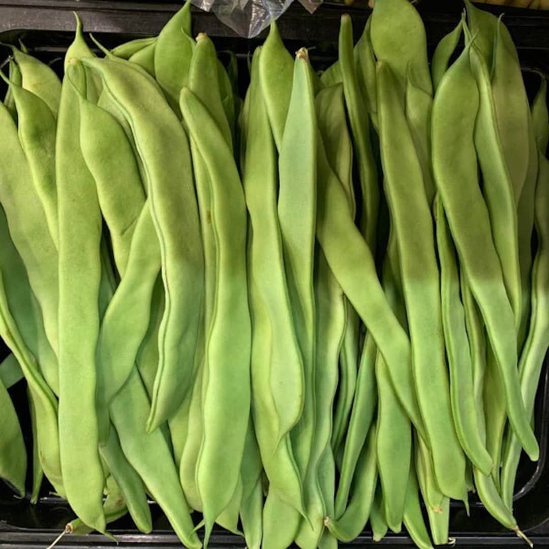 20 Seeds-qing Bian Pole Bean Seed- Romano Type- Langer and Long 10"-12 ...
