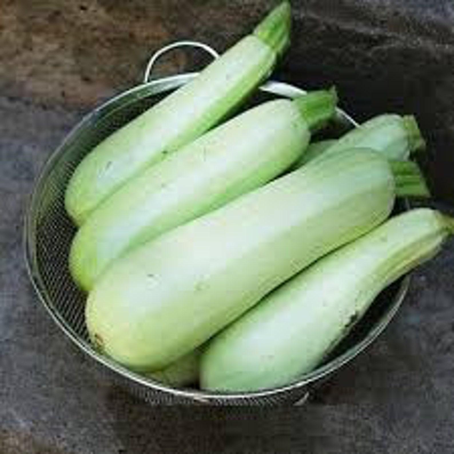 20 Seeds MARROW WHITE Summer Squash Heirloom Seeds Non GMO - Etsy
