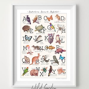 Australian Animal Alphabet - Etsy