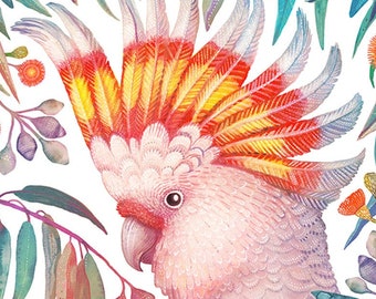 Major Mitchell Print Bird Print Cockatoo Parrot Art - Etsy