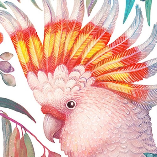 Major Mitchell Print Bird Print Cockatoo Parrot Art | Etsy