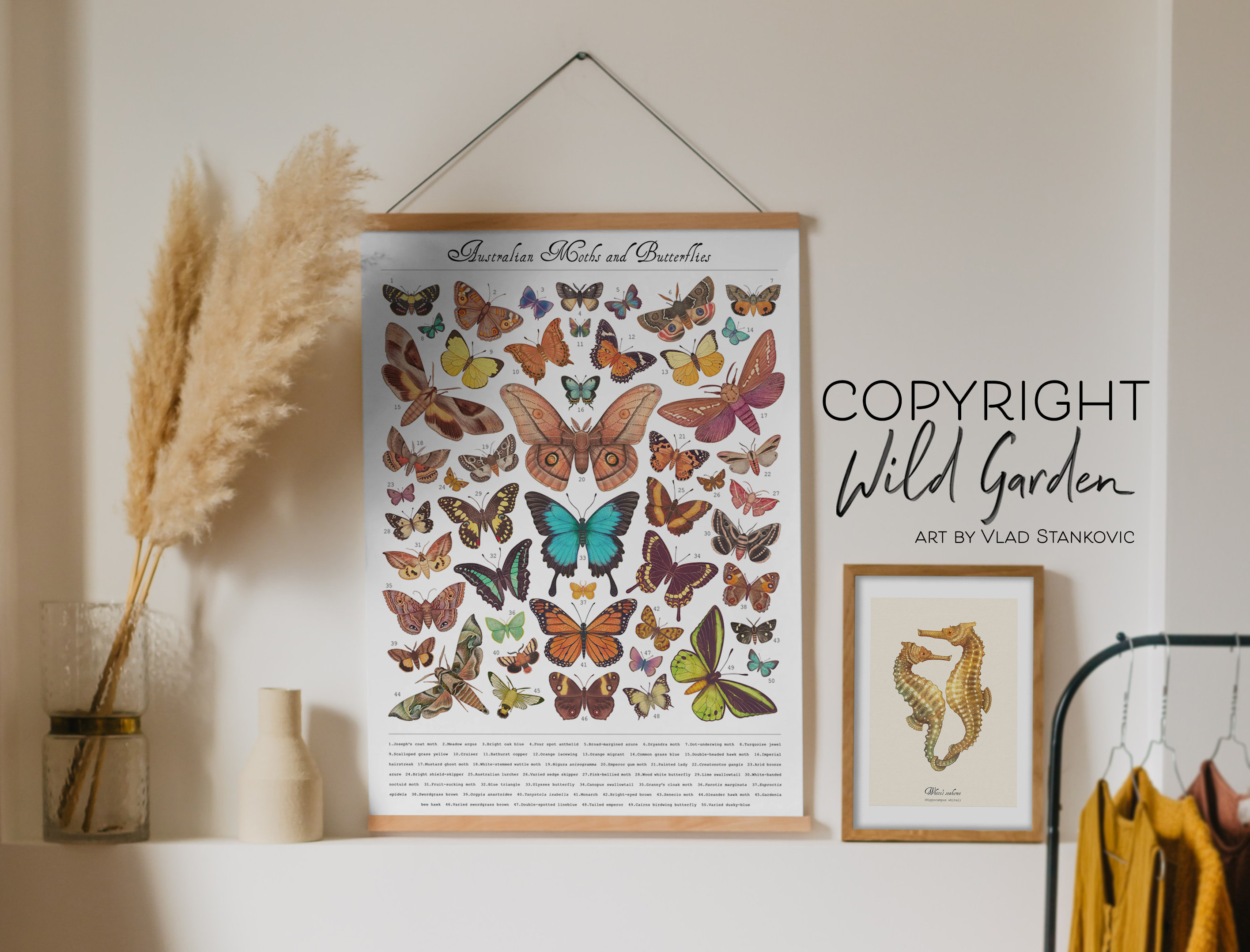Australian Moths and Butterflies - Art Print, Poster, Wall Decor - Etsy