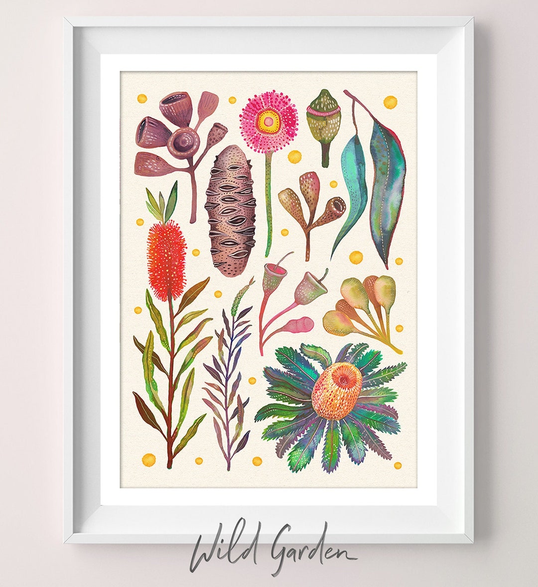 Australian Native Plants Art Print - Etsy Australia