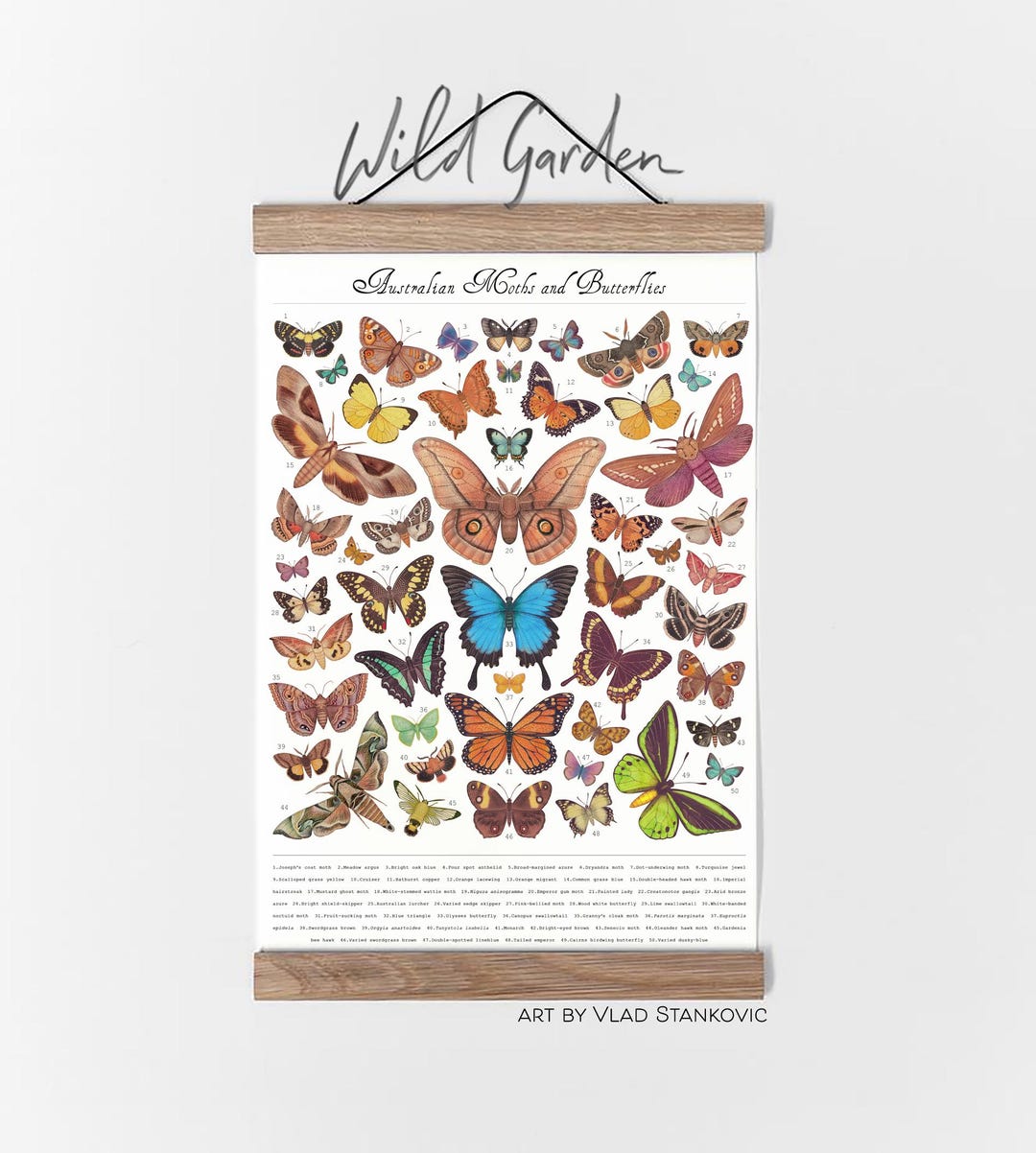 Australian Moths and Butterflies - Art Print, Poster, Wall Decor - Etsy