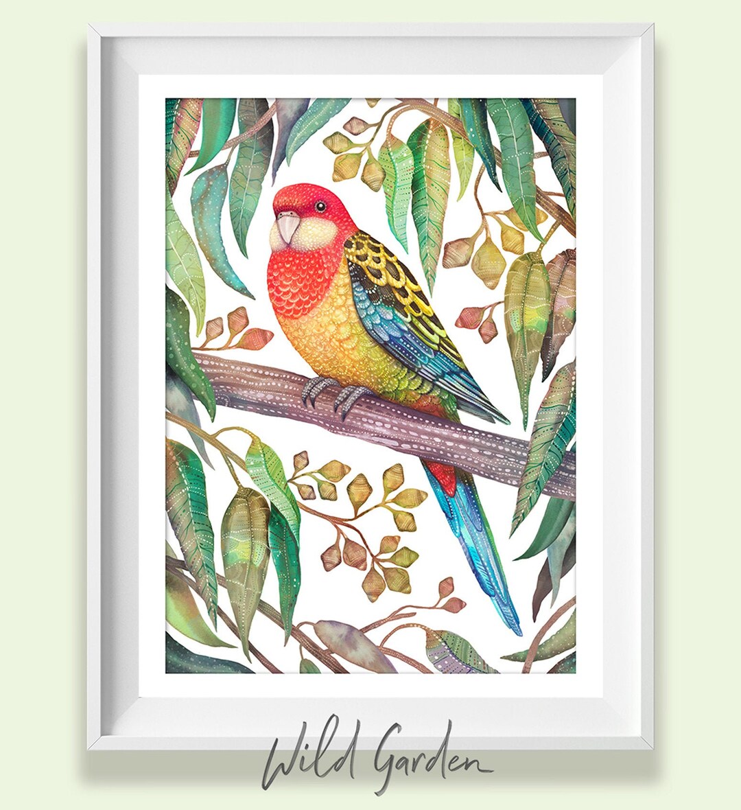 Eastern Rosella Print: Australian Bird Art - Etsy