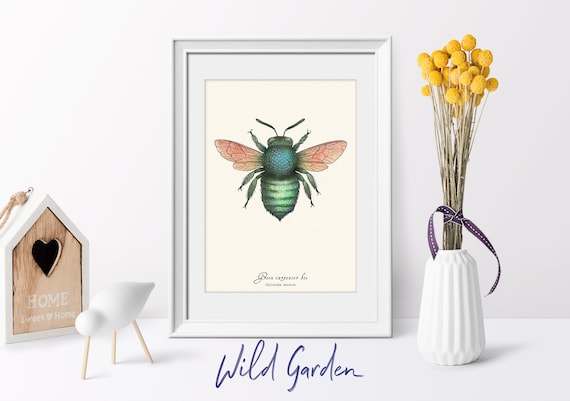 Green Carpenter Bee Art Print | Etsy