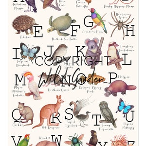 Australian Animal Alphabet - Etsy