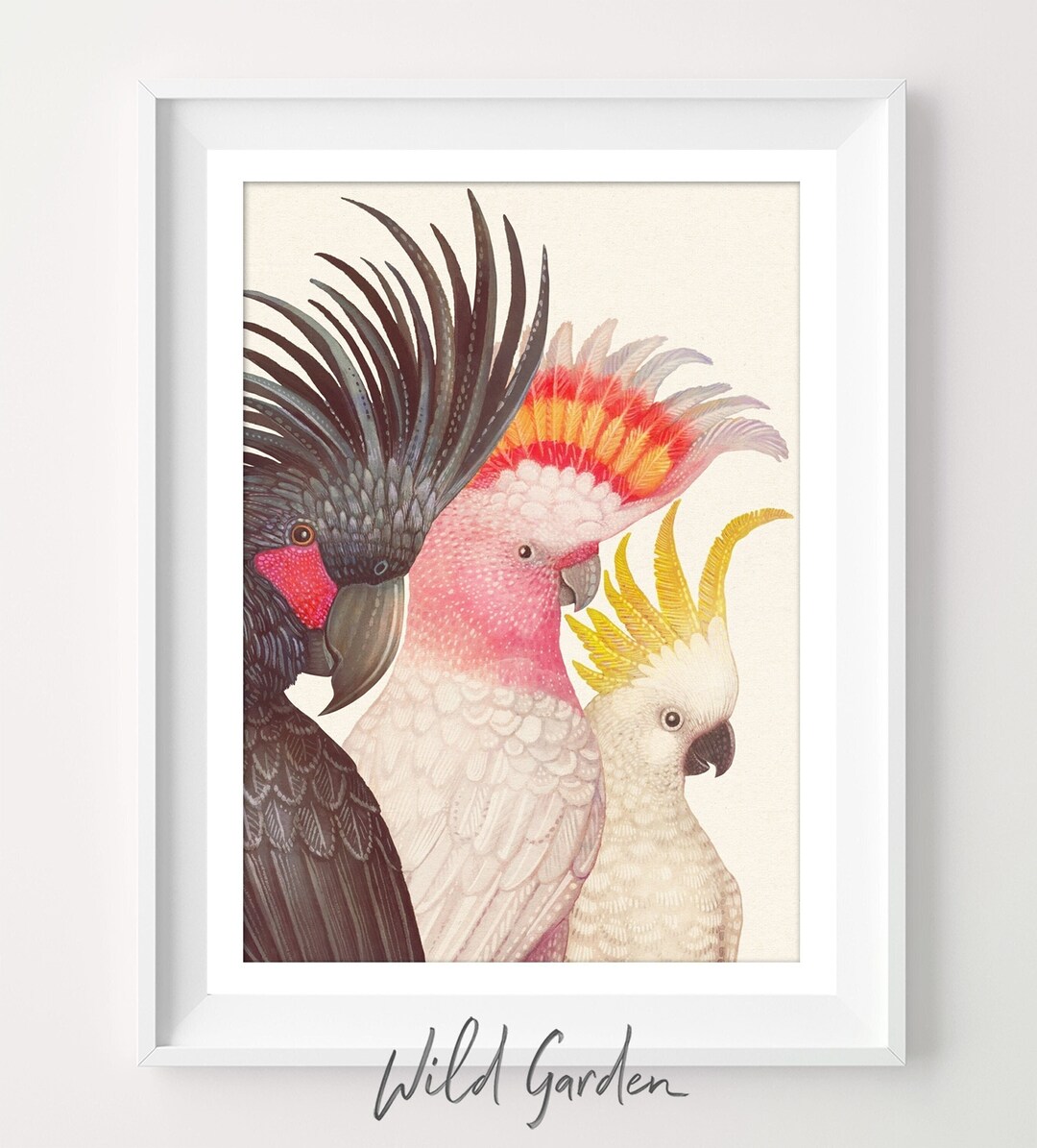 Cockatoos - Australian Cockatoos Art Print, Wall Art - Etsy