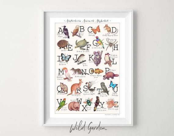 Australian Animal Alphabet | Etsy