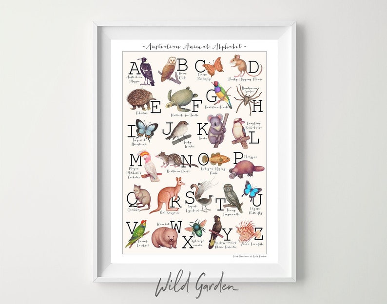 Australian Animal Alphabet - Etsy