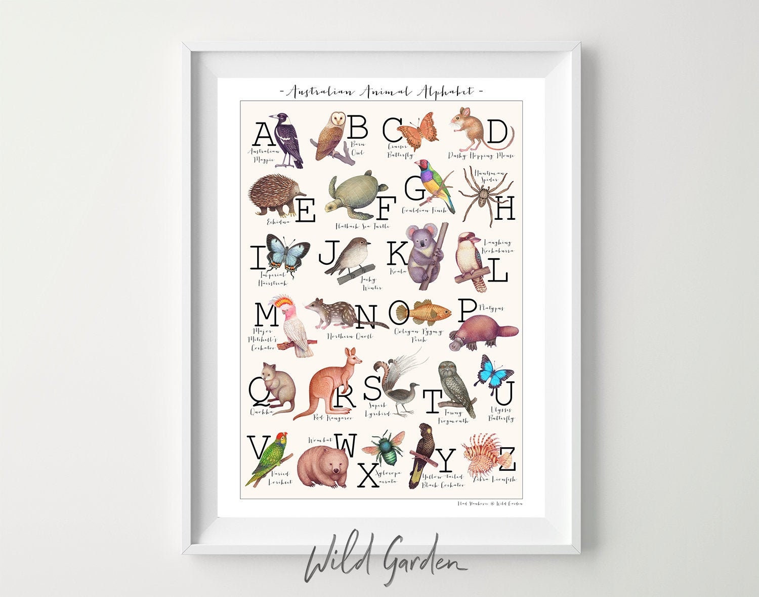 Australian Animal Alphabet - Etsy Australia